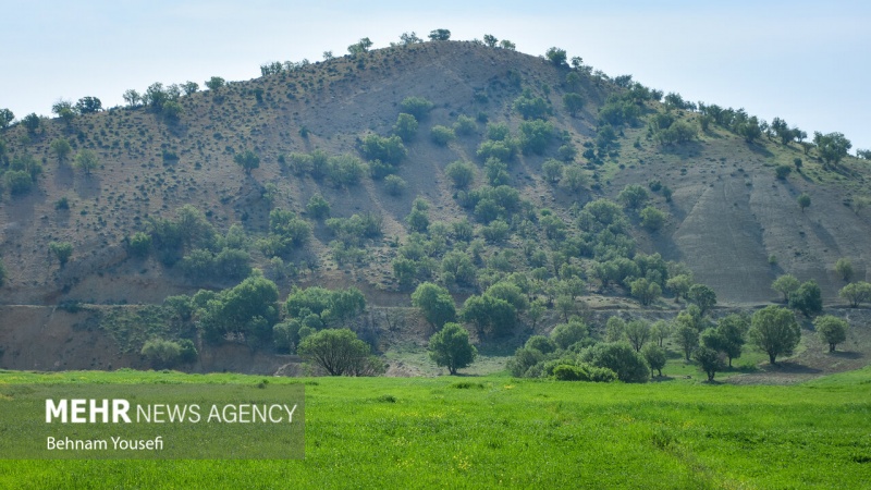 (FOTO) Iran, Sepidan in Fars - 1 - Pars Today
