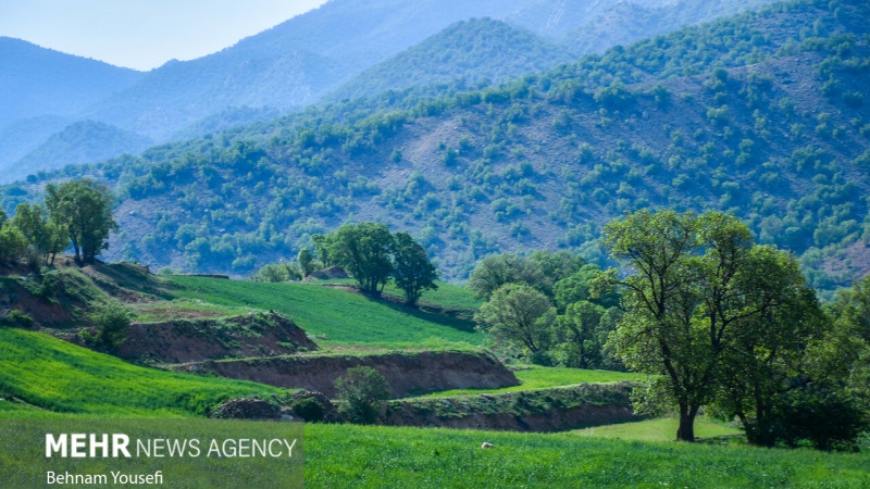 (FOTO) Iran, Sepidan in Fars - 1 - Pars Today