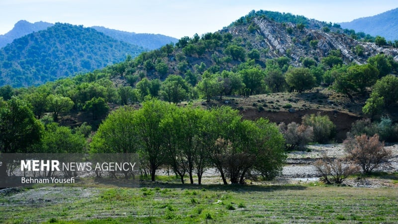 (FOTO) Iran, Sepidan in Fars - 1 - Pars Today
